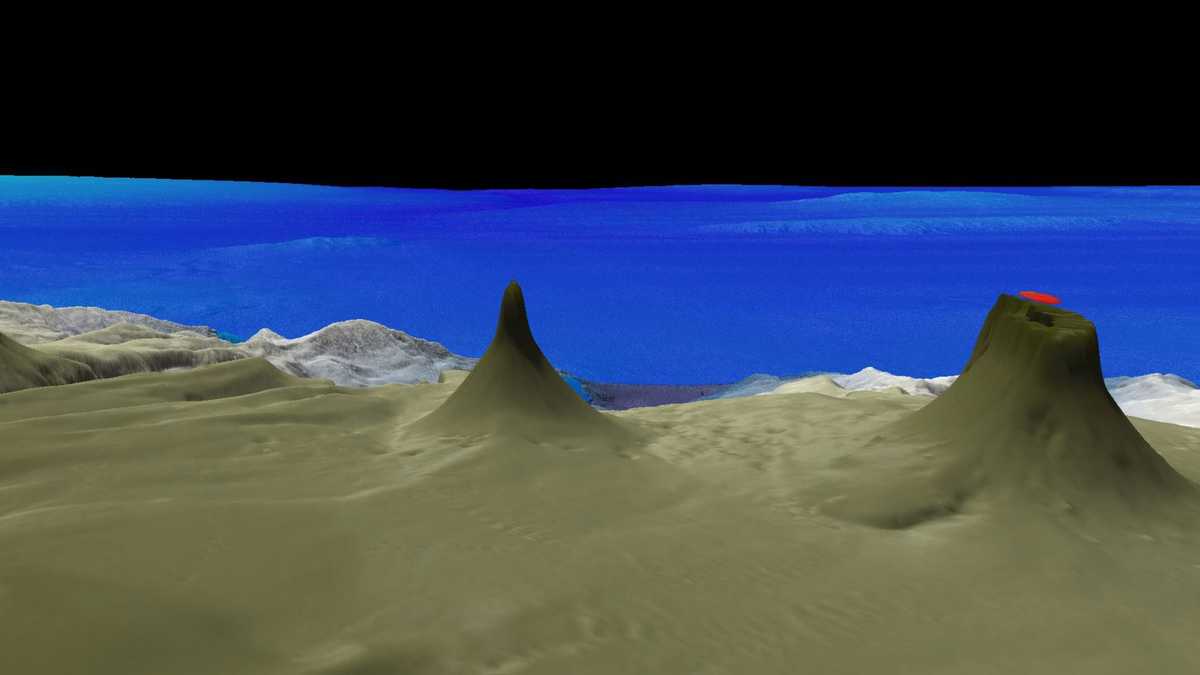 'Massive' coral reef taller than the Empire State Building discovered ...