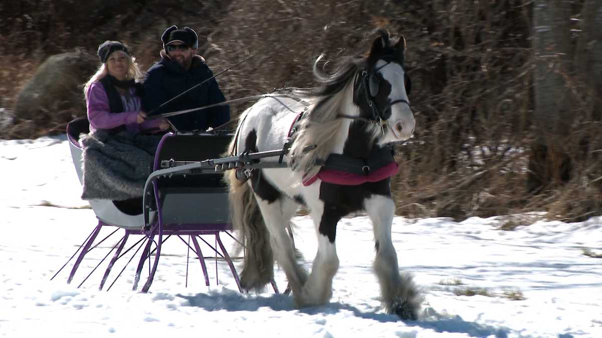 NH Chronicle: A Sleigh Day Outing