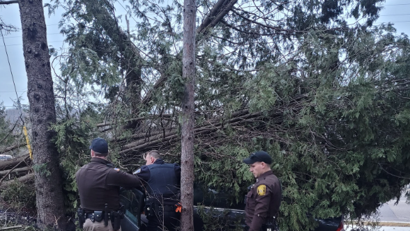 Vehicle crashes into trees and damages utility poles in Slinger