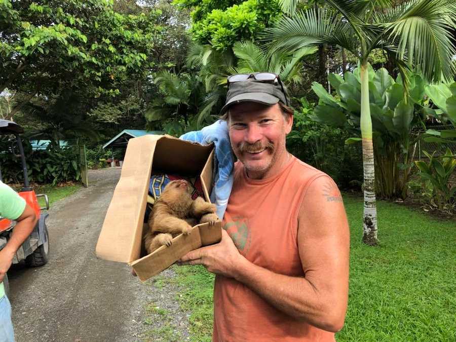 PHOTOS: Cincinnati couple rescue baby sloth