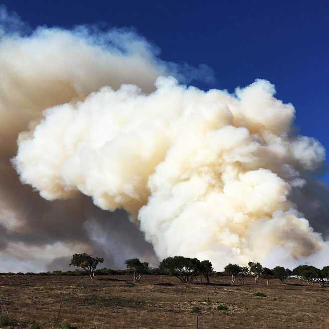 Fort Ord controlled burn sends smoke cloud over Monterey Peninsula