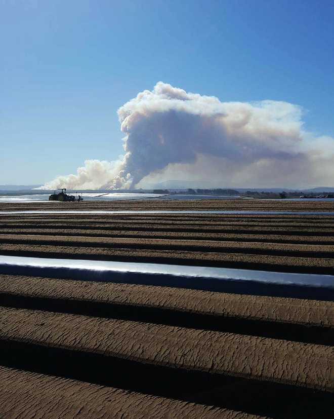 Fort Ord controlled burn sends smoke cloud over Monterey Peninsula