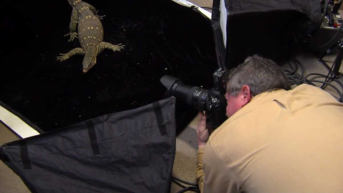 National Geographic photographer's exhibit opens at the Cincinnati Zoo