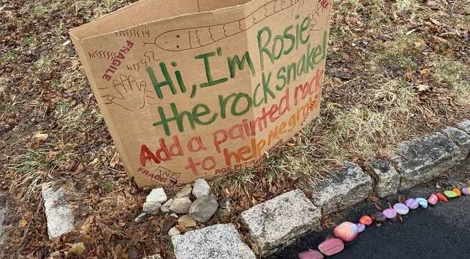 'Rosie the rock snake' spreading joy in Portland