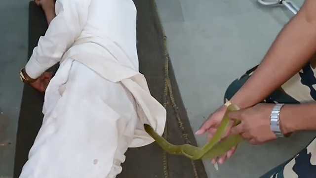 Whoa! Snake retrieved after it slithers into man's shirt while he's ...