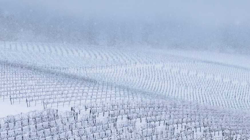 10 stunning photos of snow softly falling in Sierra
