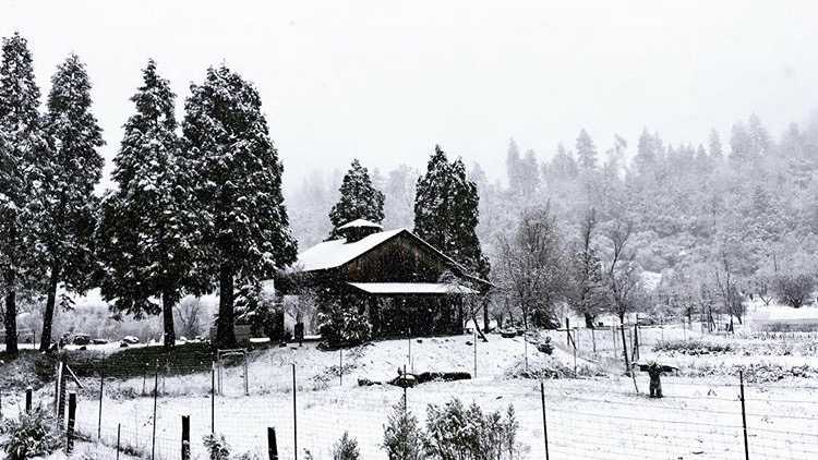 10 stunning photos of snow softly falling in Sierra
