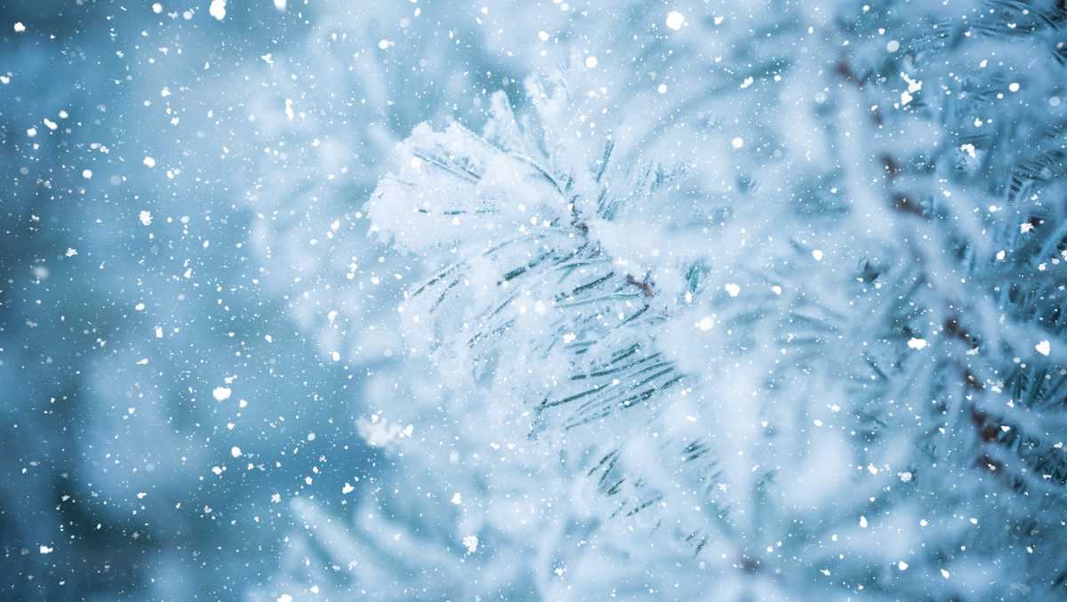 See closings and delays in Vermont, New York