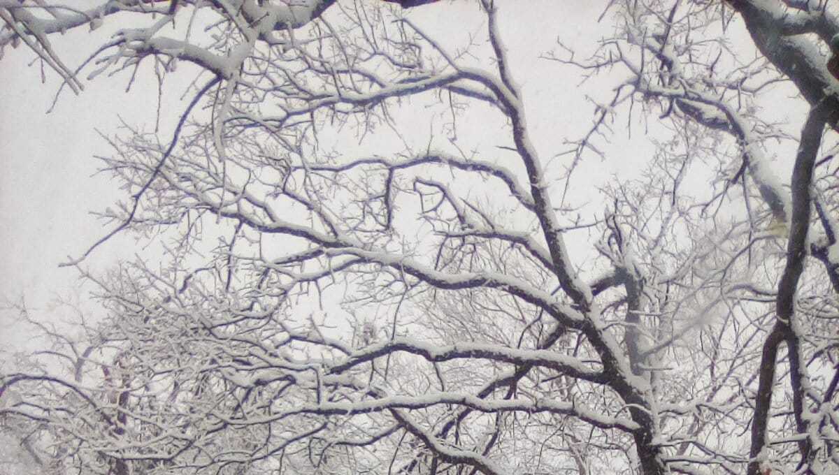 Oklahoma White Christmas: Will the Sooner State see snow?