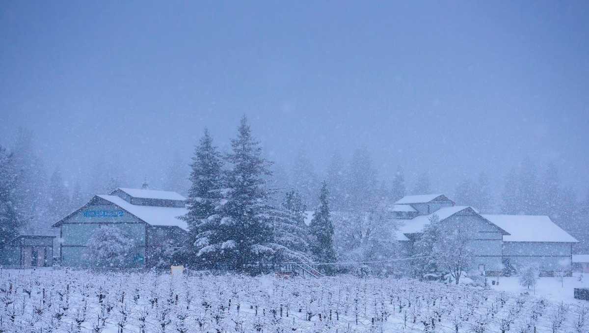 10 stunning photos of snow softly falling in Sierra