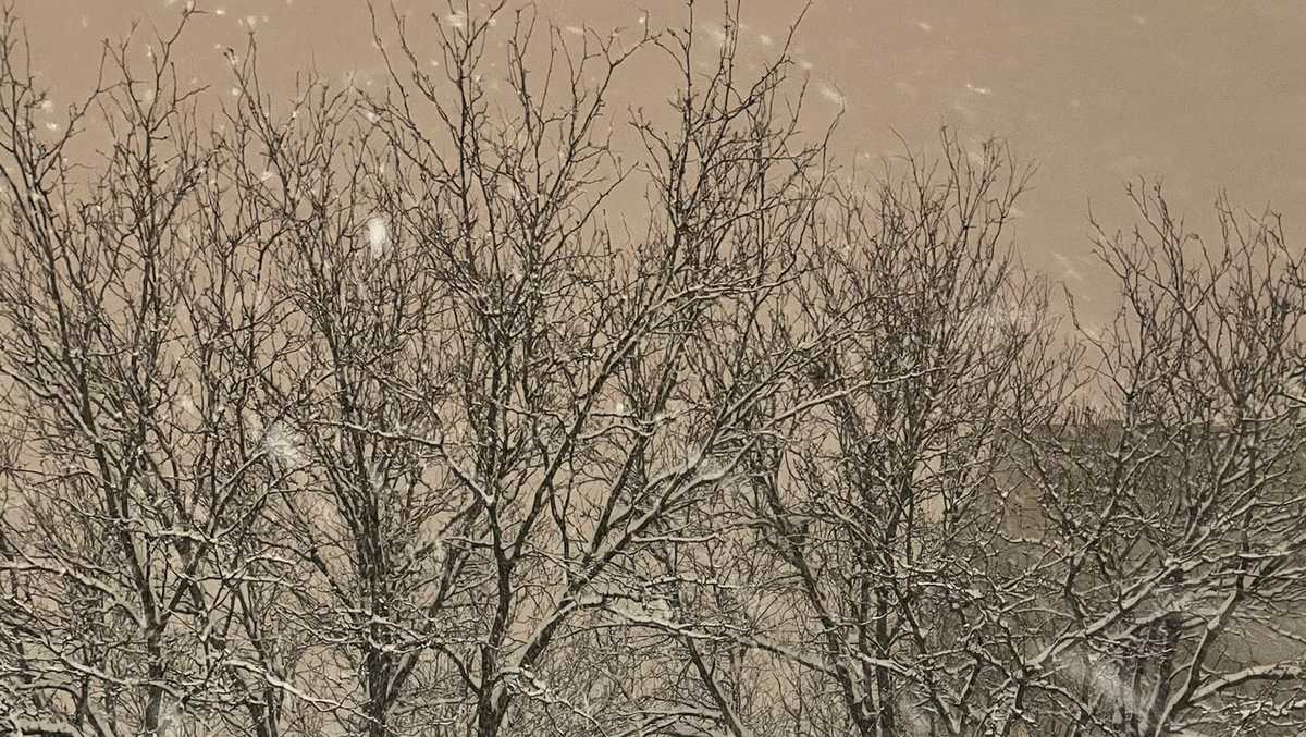 PHOTOS: Up to 10 inches of snow blankets Cincinnati, Northern Kentucky