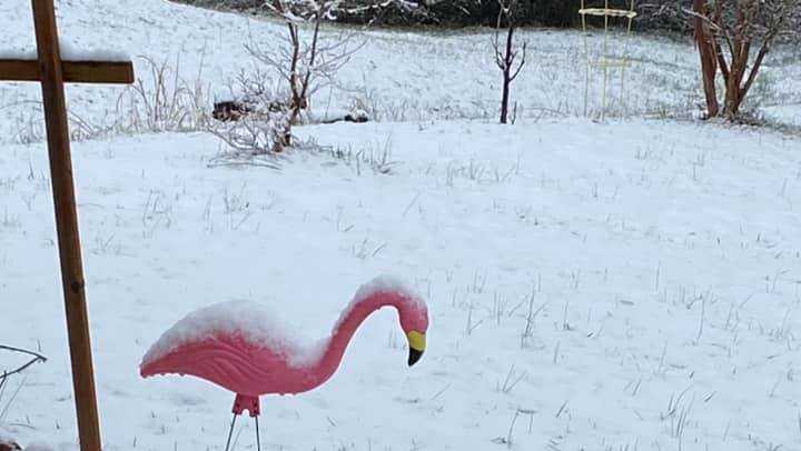 Reports of snow flurries around Upstate