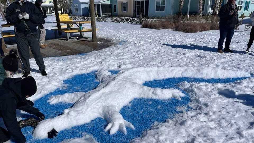 Savannah: Photos show snowmen made after rare winter storm