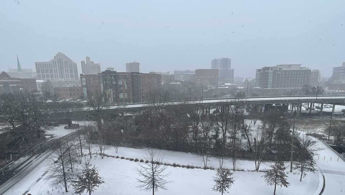 Snowstorm in South Carolina