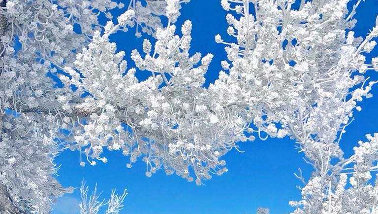 3 feet of snow, 146 mph wind gust atop Lake Tahoe mountains