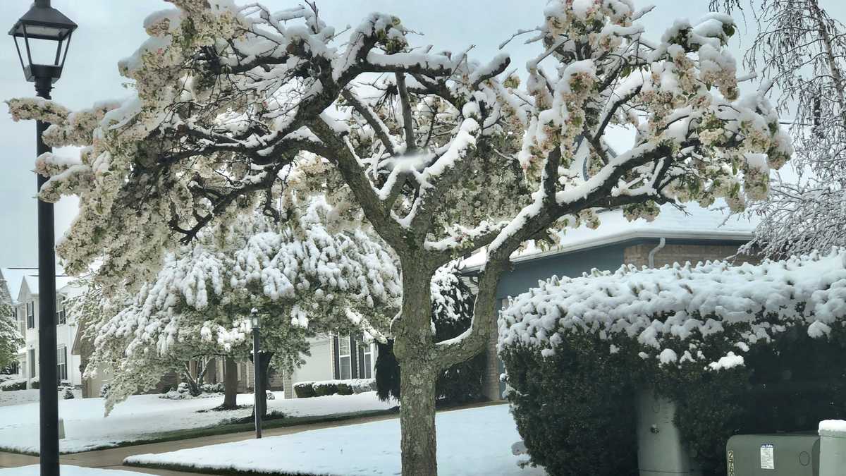 PHOTOS: Spring snow arrives in Greater Cincinnati