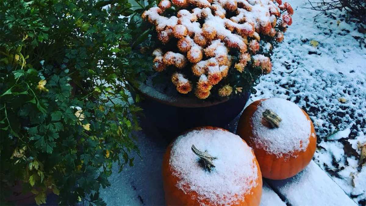 Light snow accumulates for some; hard freeze coming for most of NH