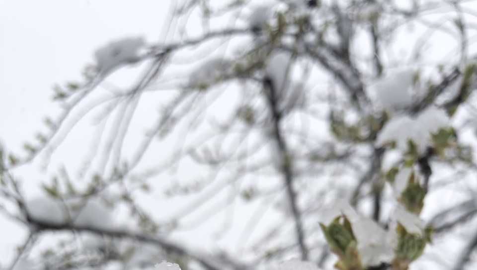 NBC5 First Warning Weather