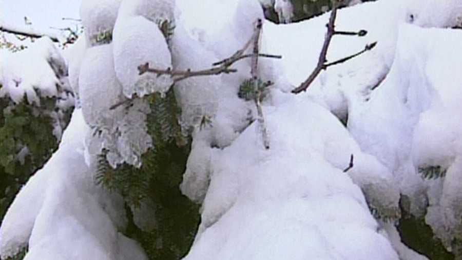 Looking back on the '97 snowstorm 20 years later