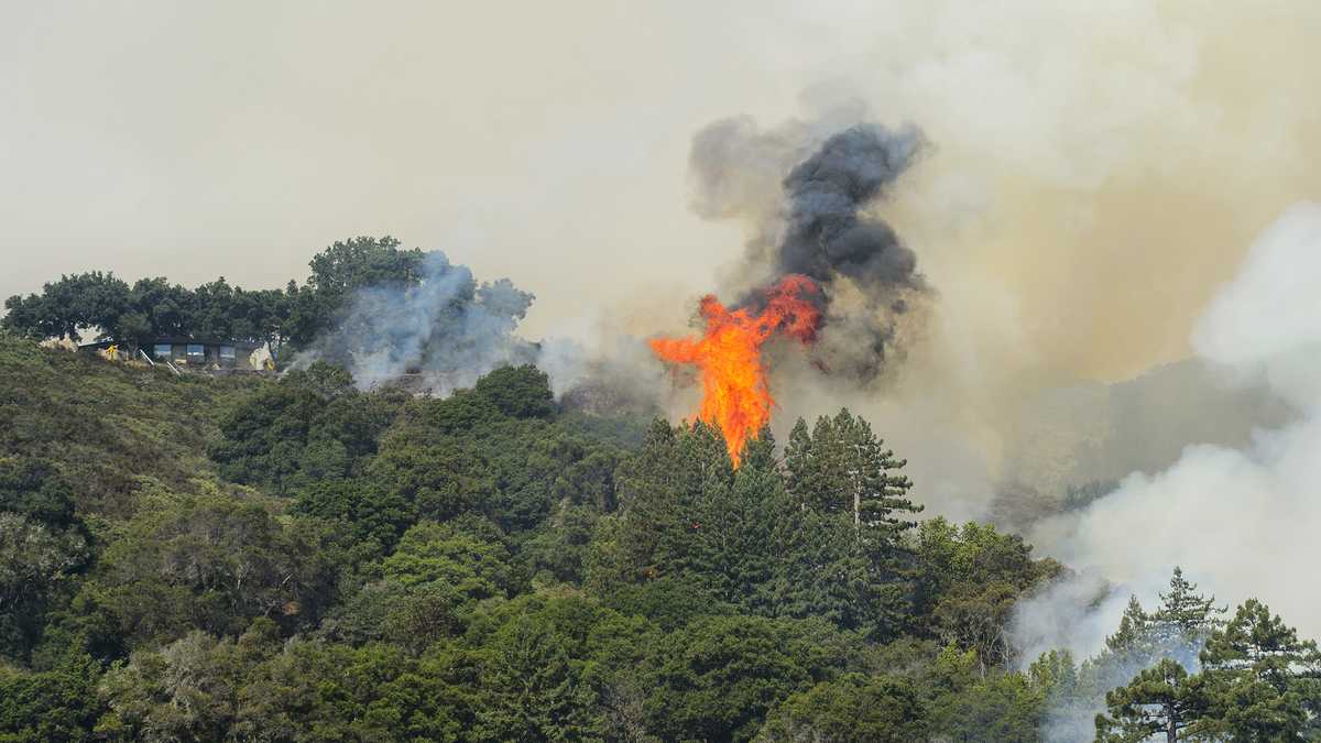 Big Sur: Before and after the Soberanes Fire