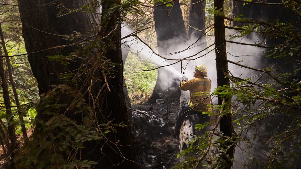 Soberanes to become one of largest wildfires in state history
