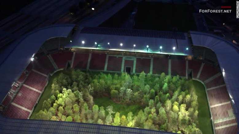 Soccer stadium transformed into lush forest