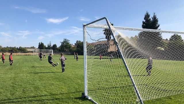 Crammed schedules, nonstop chauffeuring: Is this school the solution?