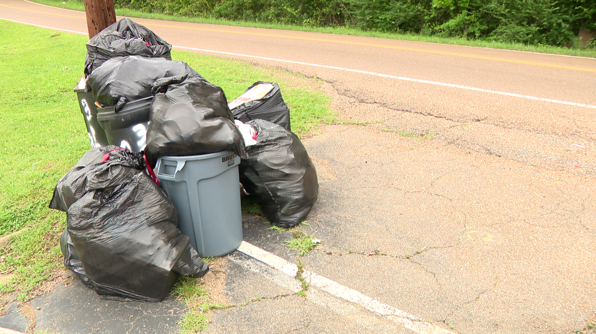 City council divided over trash collection solution