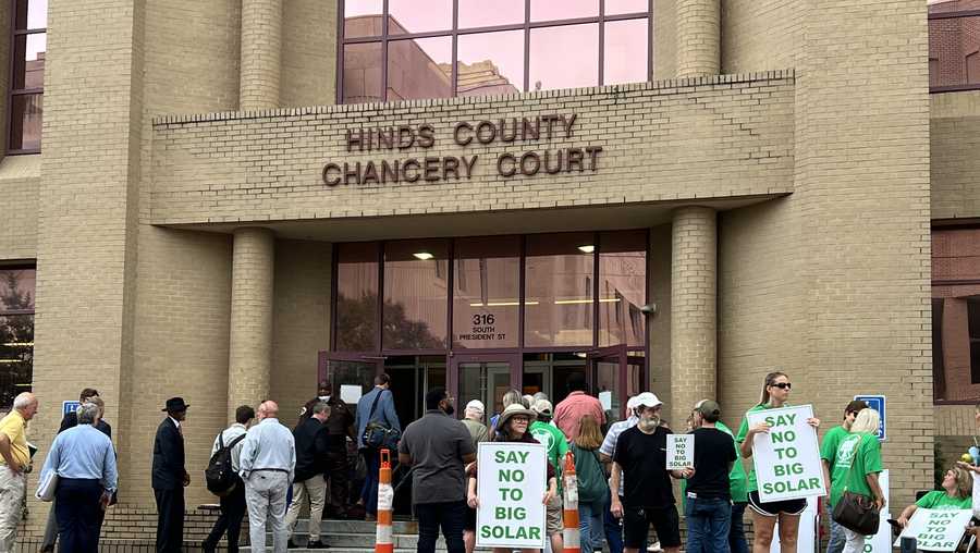 Dozens of protesters outside of Chancery Court ahead of solar farm vote
