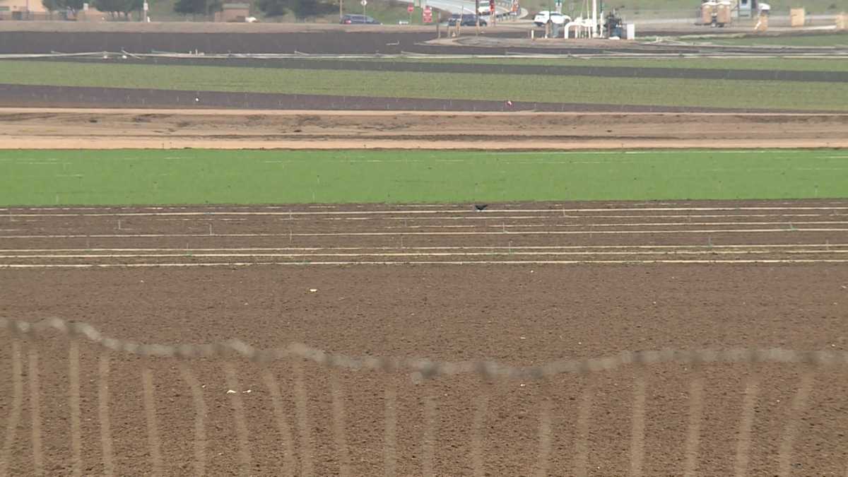 Soledad approves agricultural land to be transformed into massive ...
