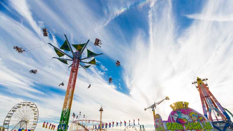 Check out the unique food items at the SC State Fair this year