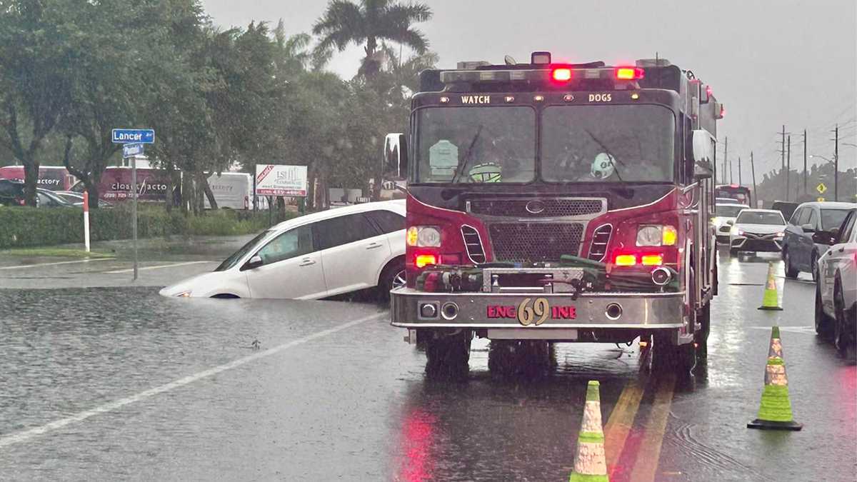 Sights and sounds: Viewers capture flooding across SWFL