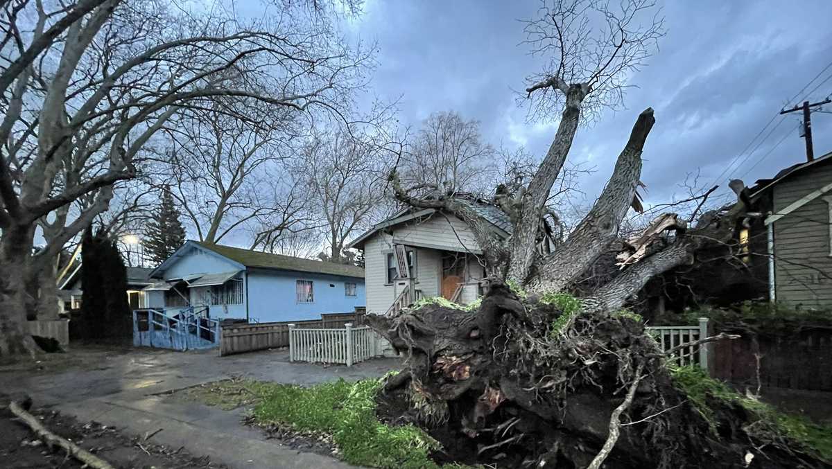 Photos: Toppled trees, powerlines in Northern California