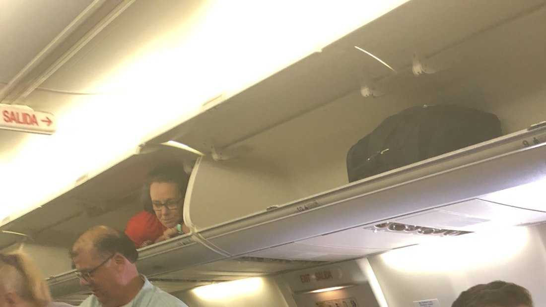 'It was pretty hilarious': Passenger finds flight attendant in overhead ...