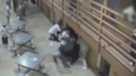 Inmate at Mass. prison starts fire in cell after assaulting officer