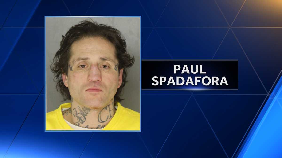 Ex-boxing champ Paul Spadafora pleads guilty to charges in domestic dispute