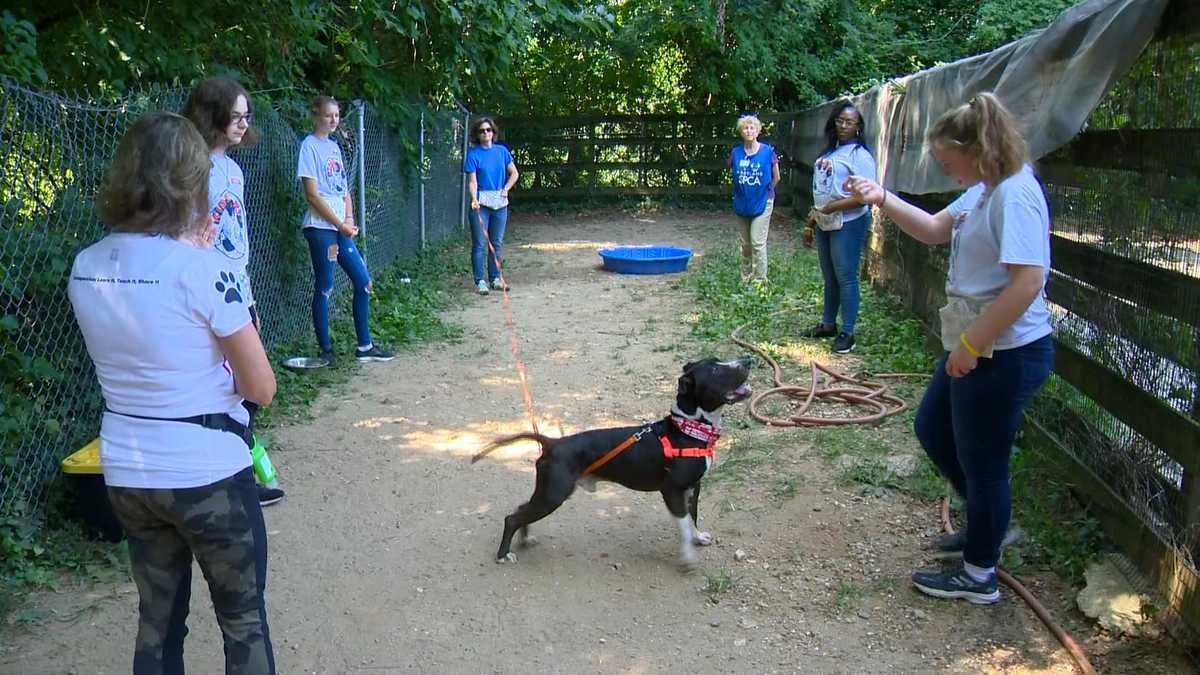 MDSPCA, Kids-4-K9s program encourage positive animal training for teens