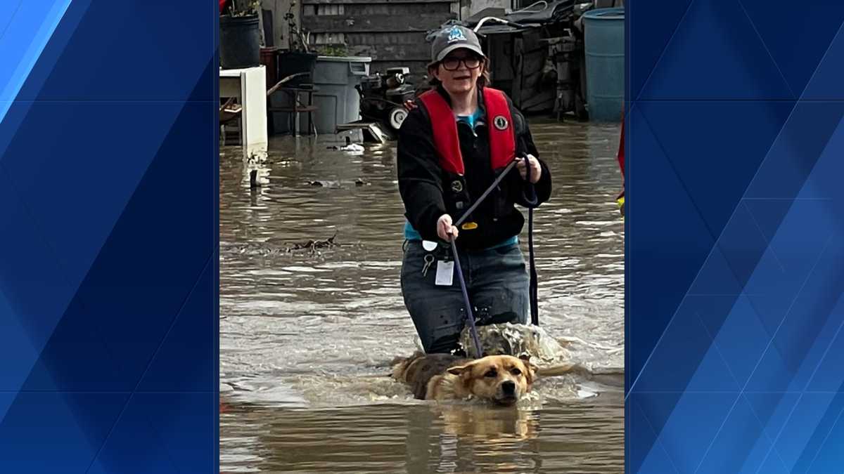 SPCA Monterey County rescuing pets from flooded areas