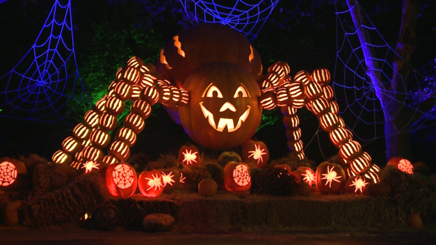 Home grown: Pumpkins at Kentucky Kingdom is back for 3rd year