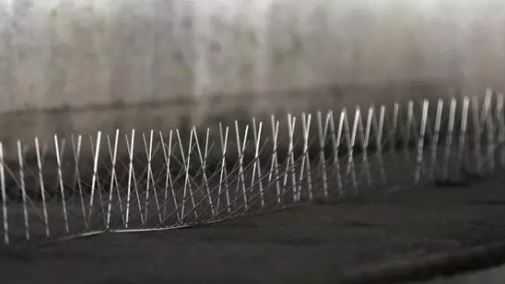 Anti-homeless spikes removed after backlash