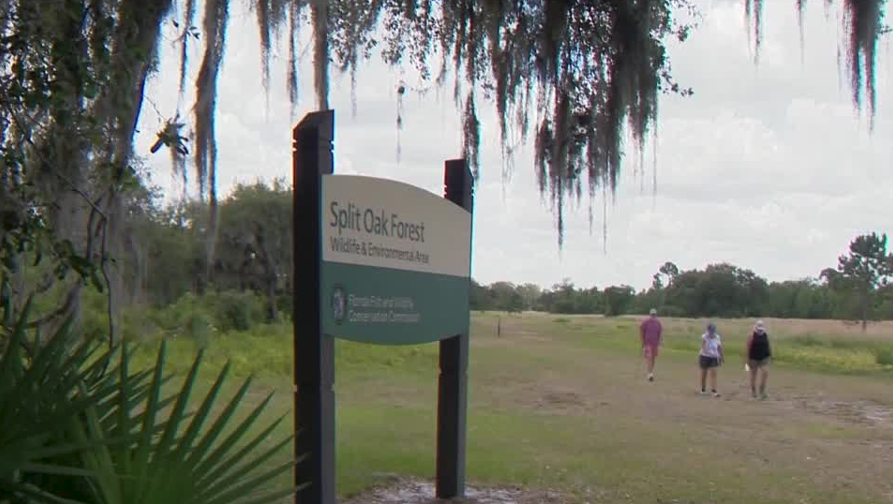 Split Oak Forest: FWC Chairman calls toll road deal a 'victory'
