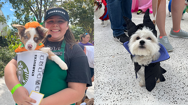 Oklahoma pets show off their costumes during Spooky Pooch Parade