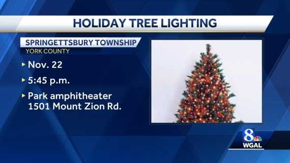 Springettsbury Township to host annual tree lighting Nov. 22