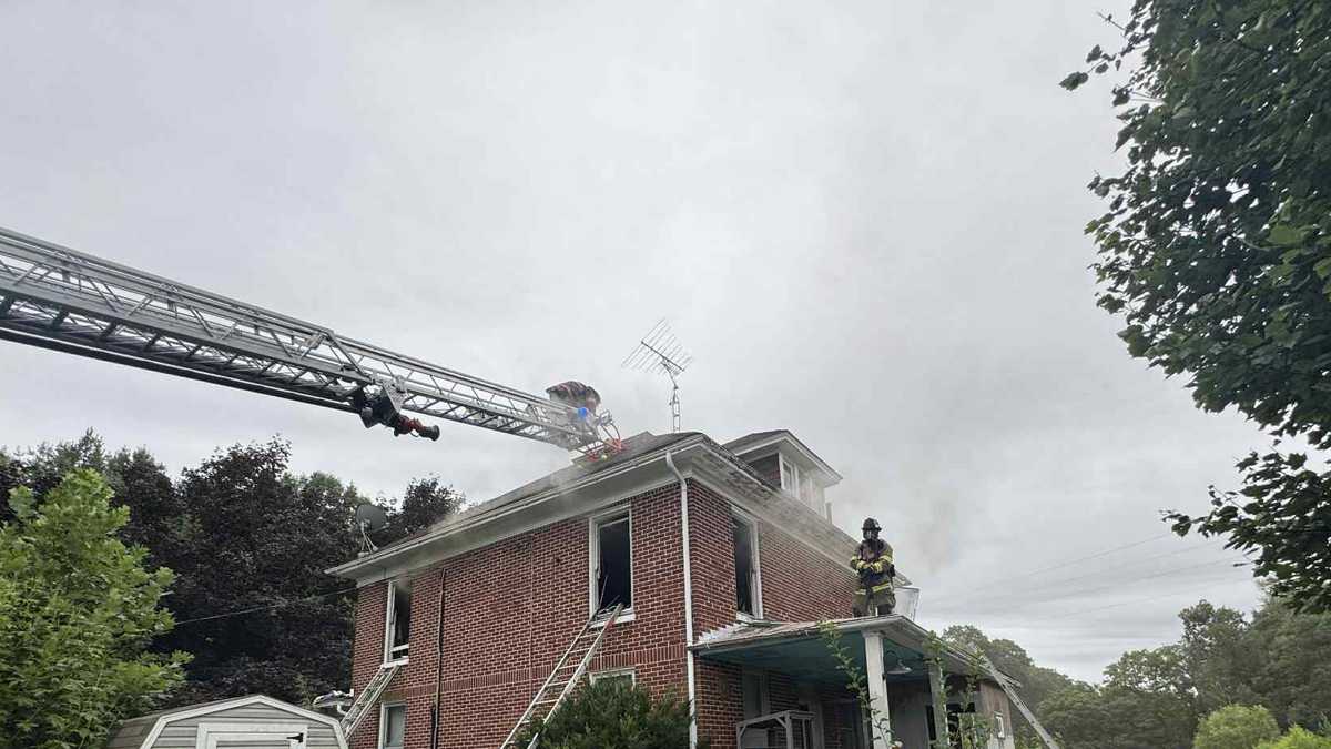 York County Pa House Fire With Approximately 50 Cats Inside Leaves