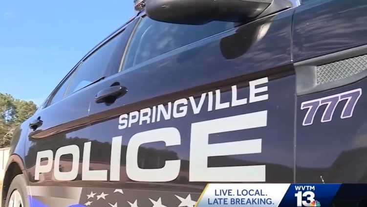 Car break-ins reported at a Springville park