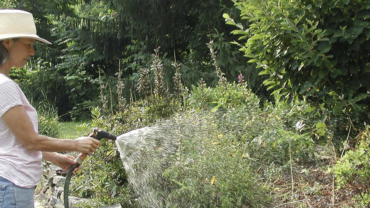 Watch when you Water: BJWSA asks Beaufort, Jasper County residents to ...
