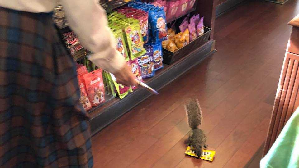 'Cute little shoplifter' caught stealing candy from Disney World's ...