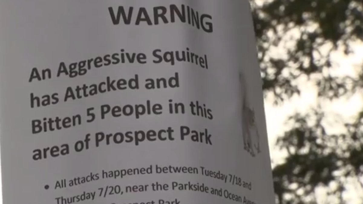 Parkgoers warned after 'aggressive squirrel' attacks 5 people