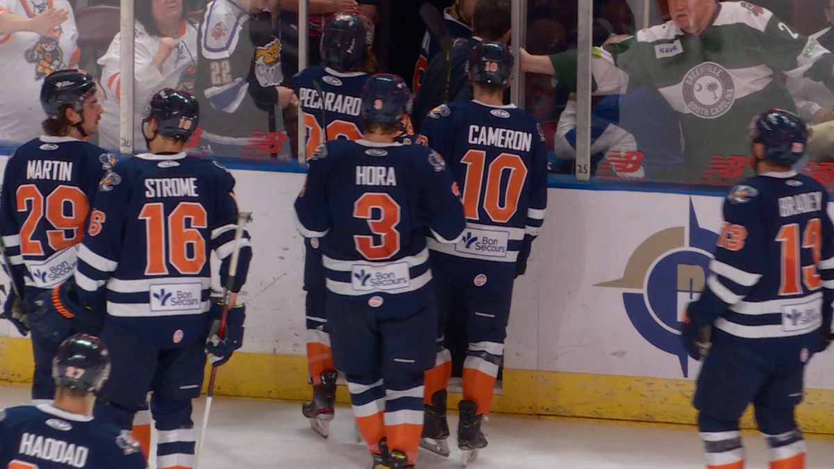 SC Stingrays defeat Swamp Rabbits 3-2 in Game 3 of Eastern Conference ...