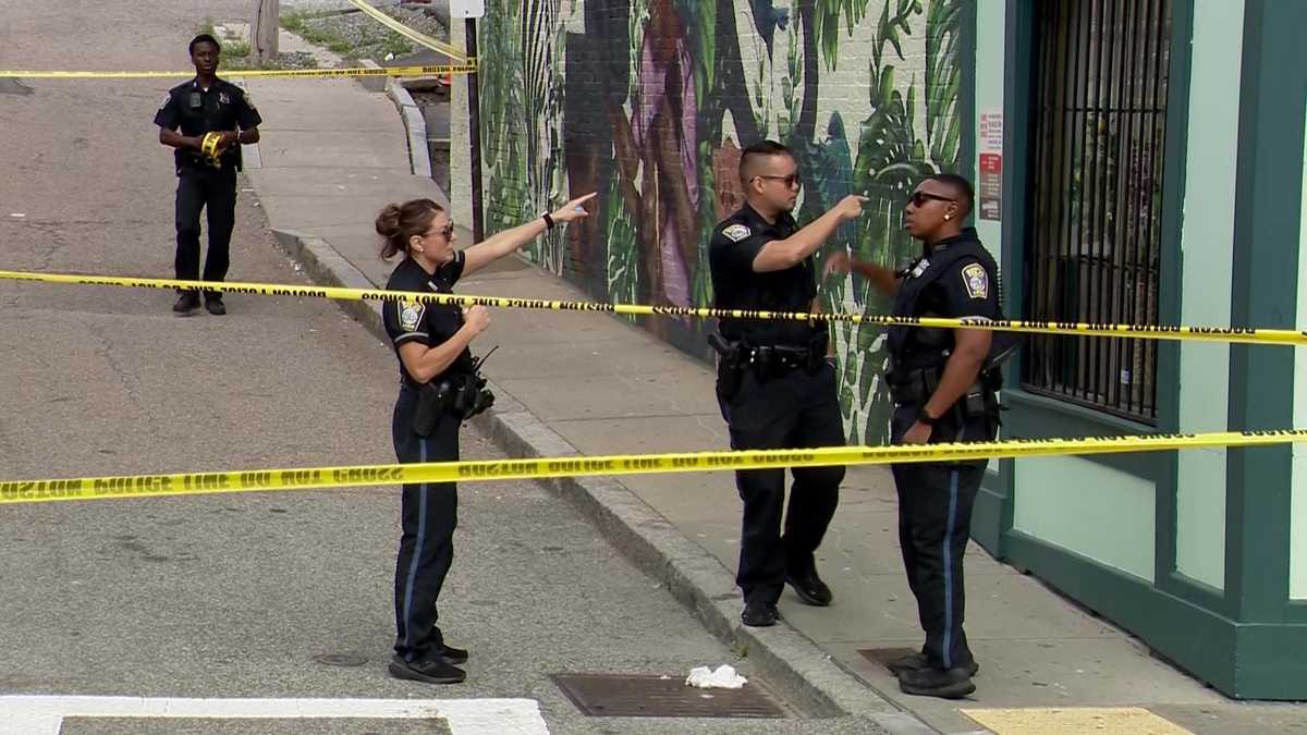 Stabbing near historic Boston theatre prompts large police response